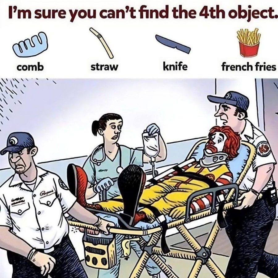 Finding the 4th object - animals news
