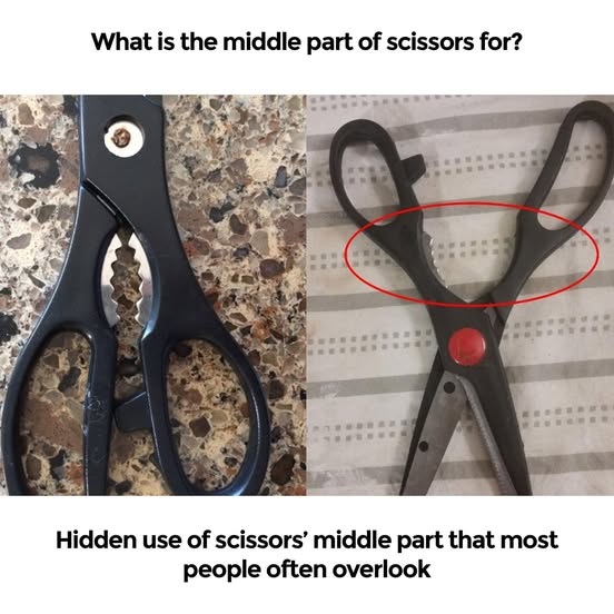 Hidden use of scissors’ middle part that most people often overlook ...