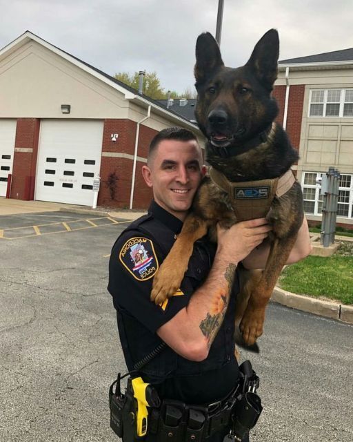 HE HELD HIS K9 PARTNER WITH A SMILE—BUT THE STORY BEHIND THIS PHOTO ...